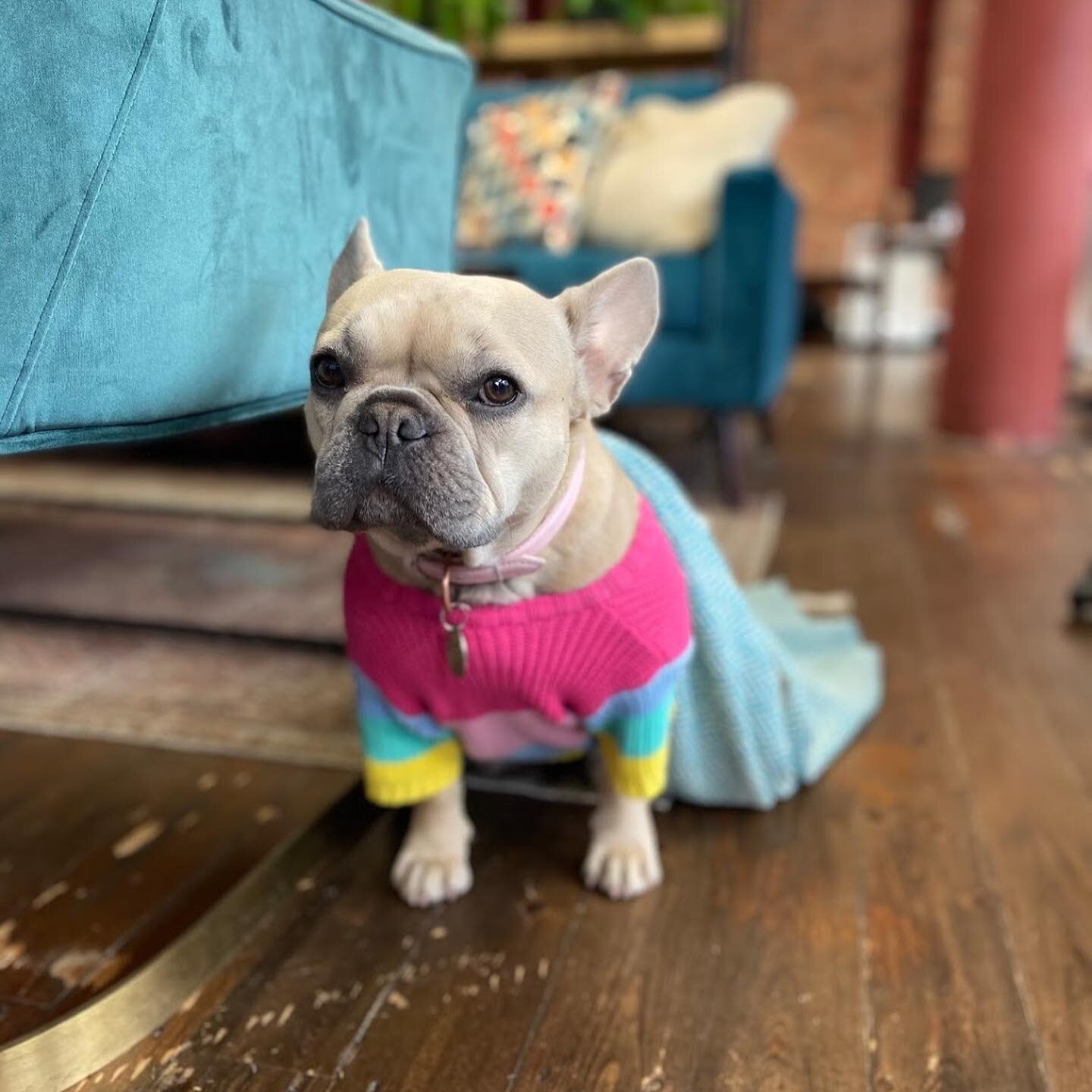 Cubaka - Award-Winning Social Media Agency