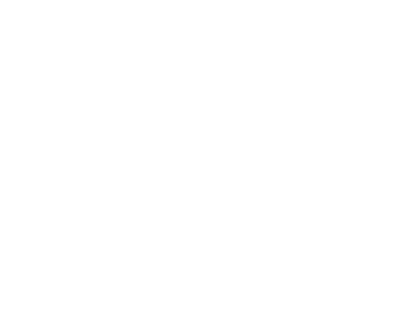 Influencer Management — Cubaka