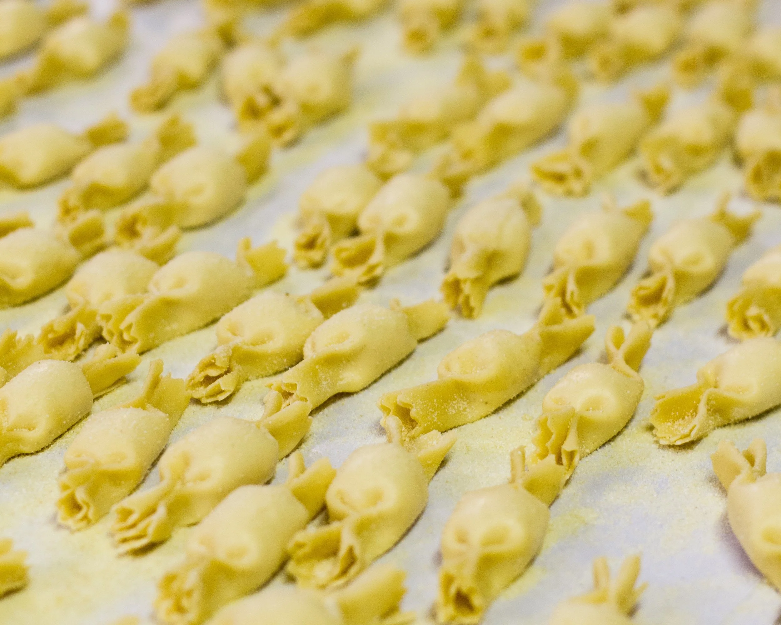 Events Petite Pasta Joint events-petite-pasta-joint