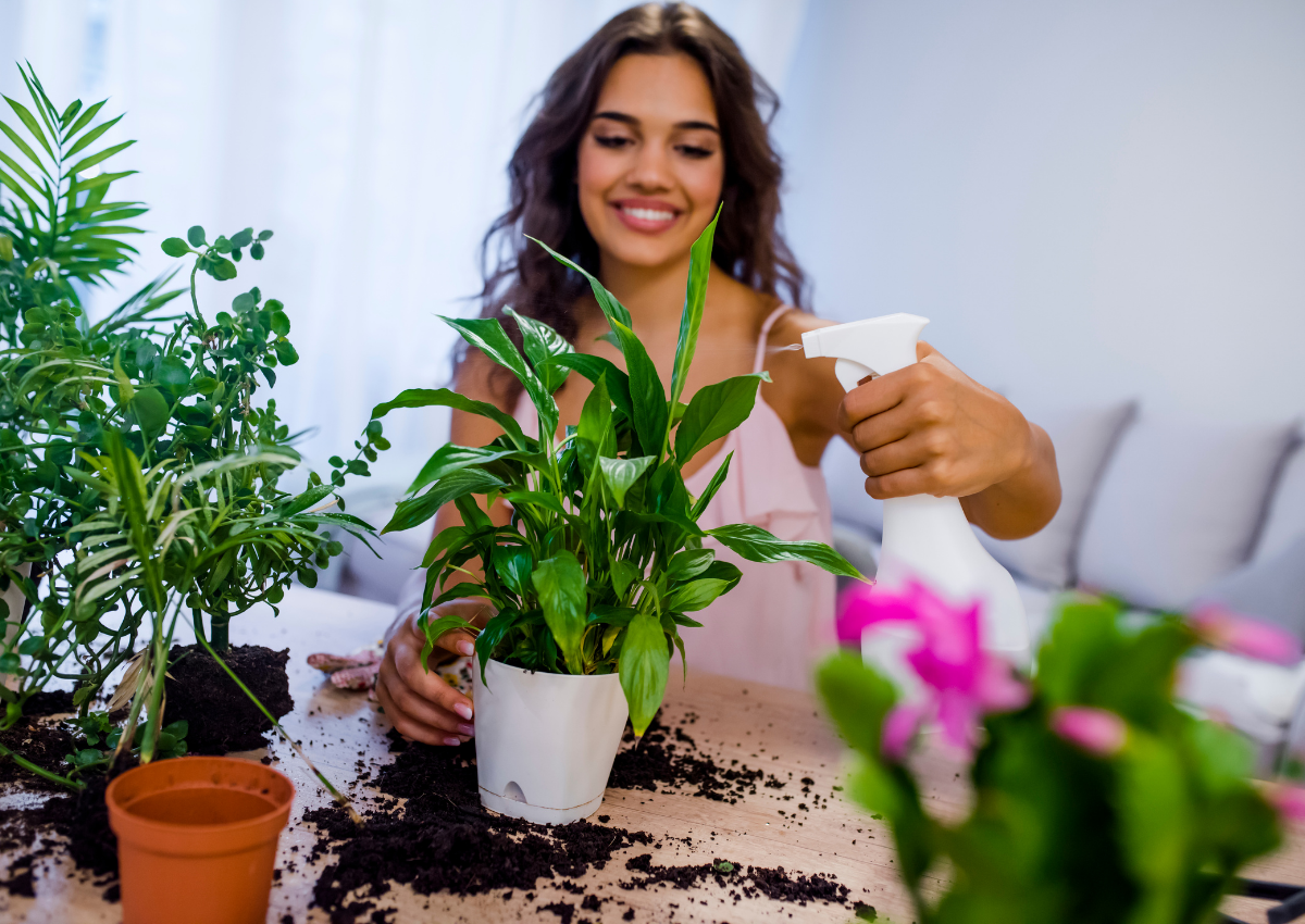 The 4 Best Reasons to Bring Live Plants into Your Home — Celeste ...