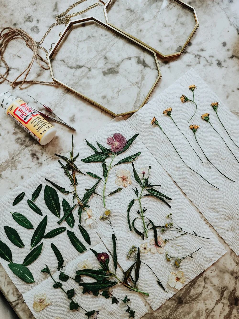 DIY Pressed Flower Frame — Cool Mom and Collected