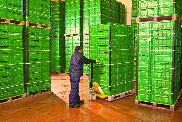 Australian Cold Chain — RWTA