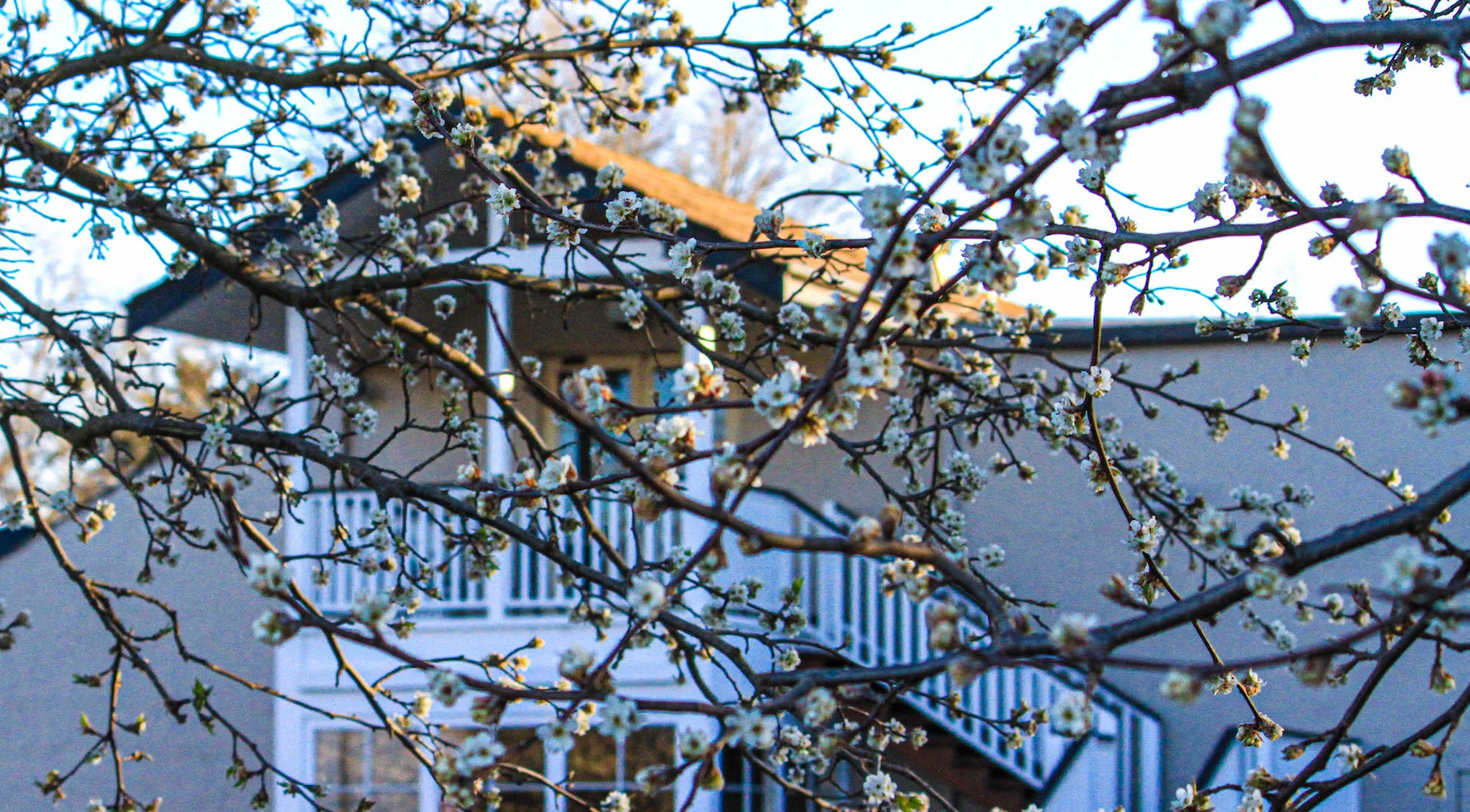 Contact Us — Sutton Farm