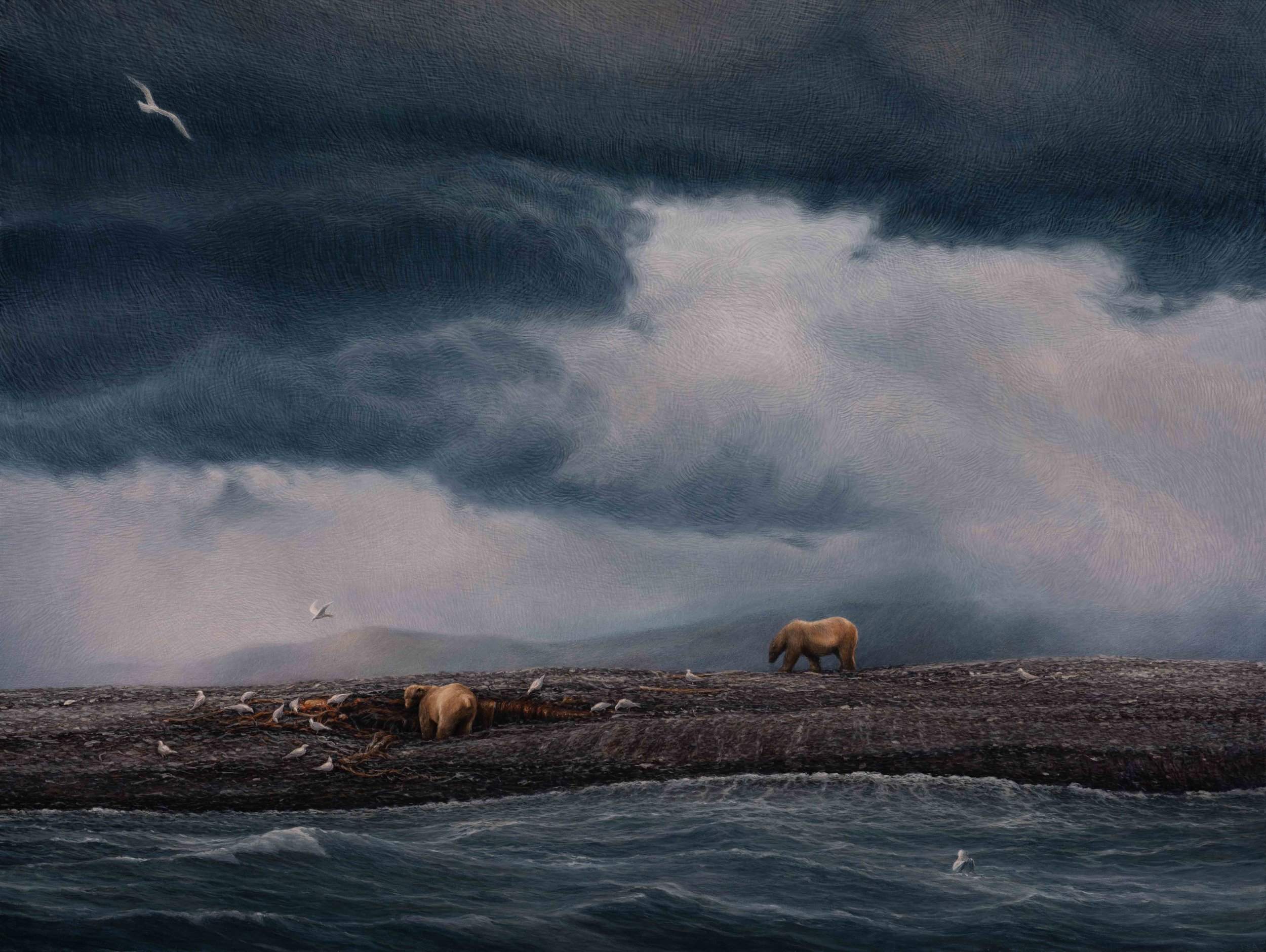 2018 exhibition — Peter Anderson