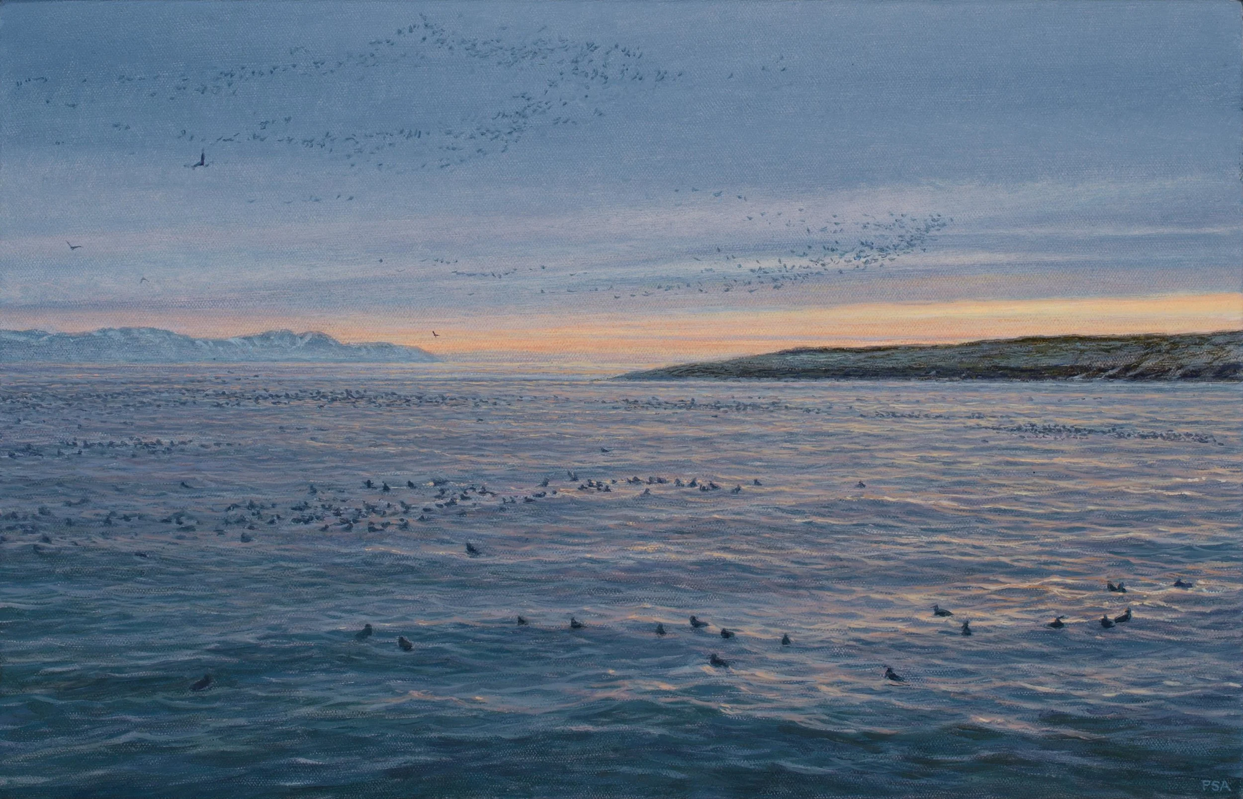 2015 Exhibition — Peter Anderson