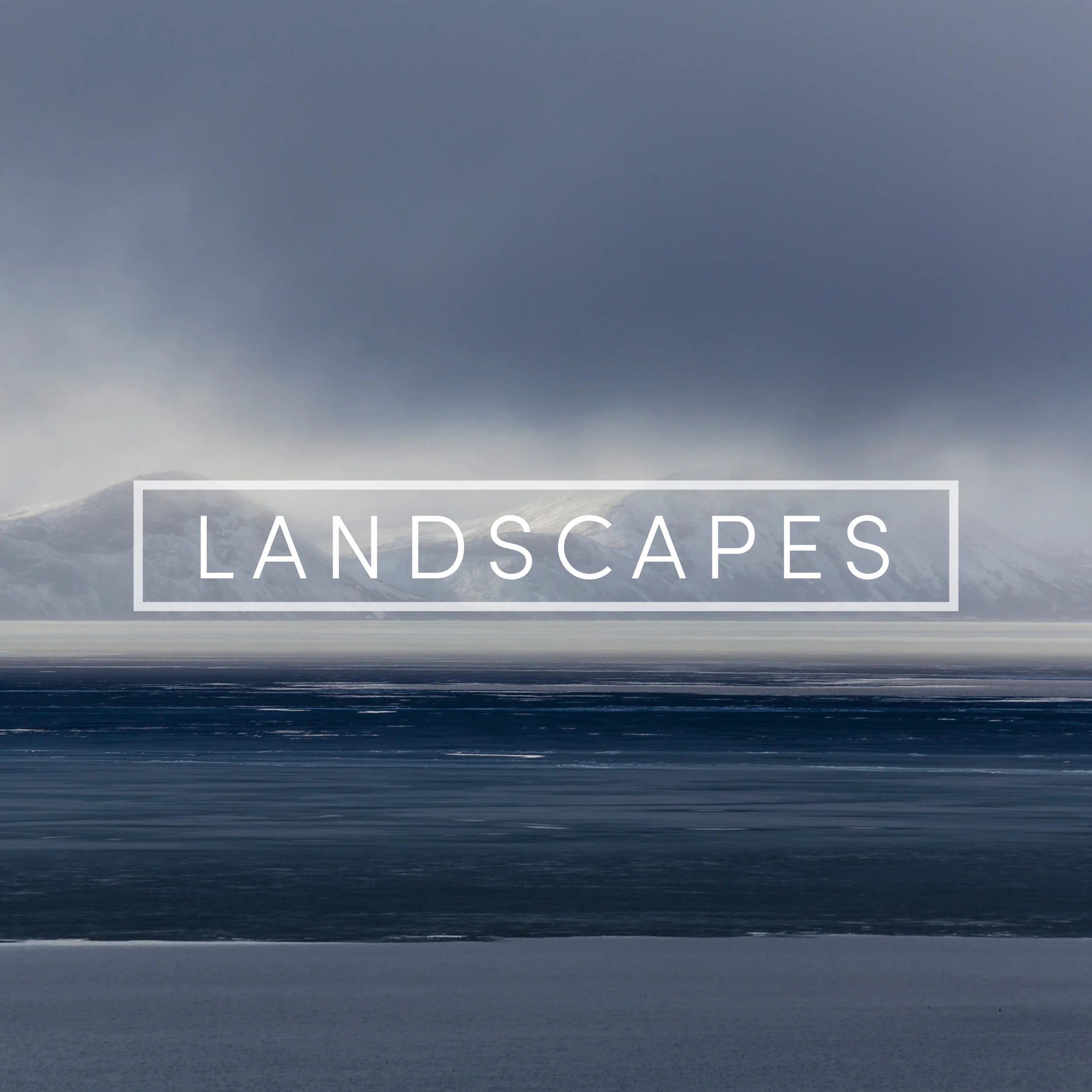 Sam Whitton | Wildlife Filmmaker