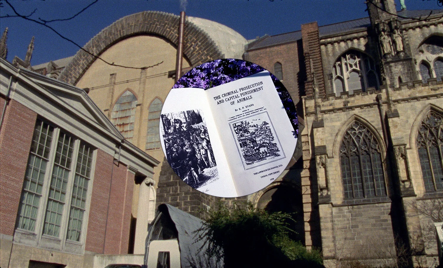 Earth Month 2023 Event Hub — Tishman Environment and Design Center