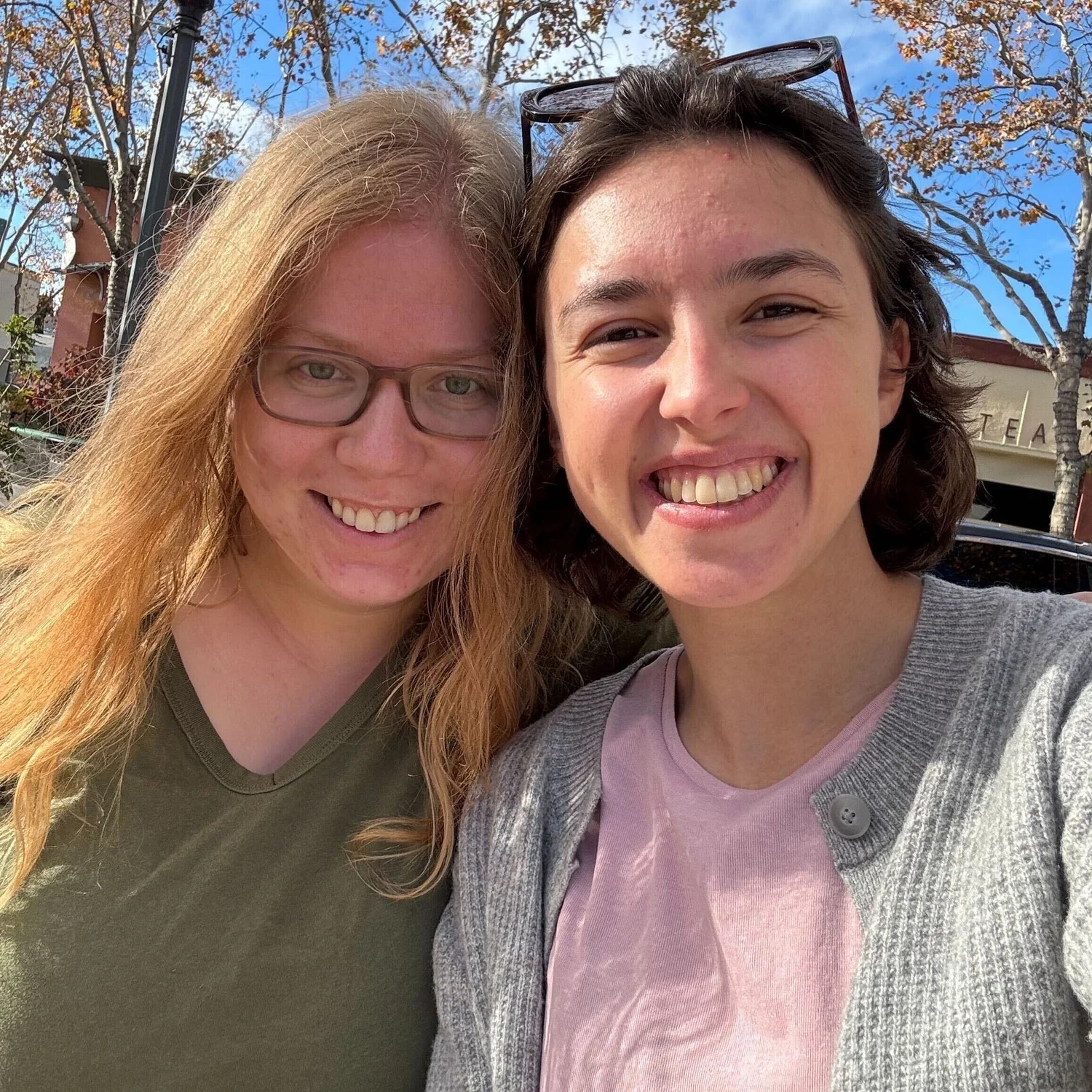 Shenanigans — Debbie Marks Lab