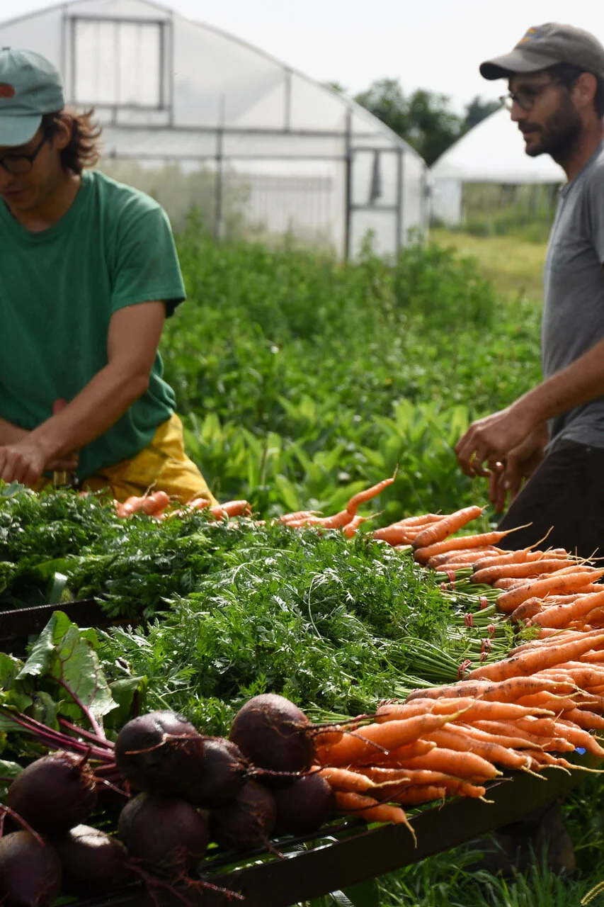 FULL HOLLOW FARM — west michigan growers group