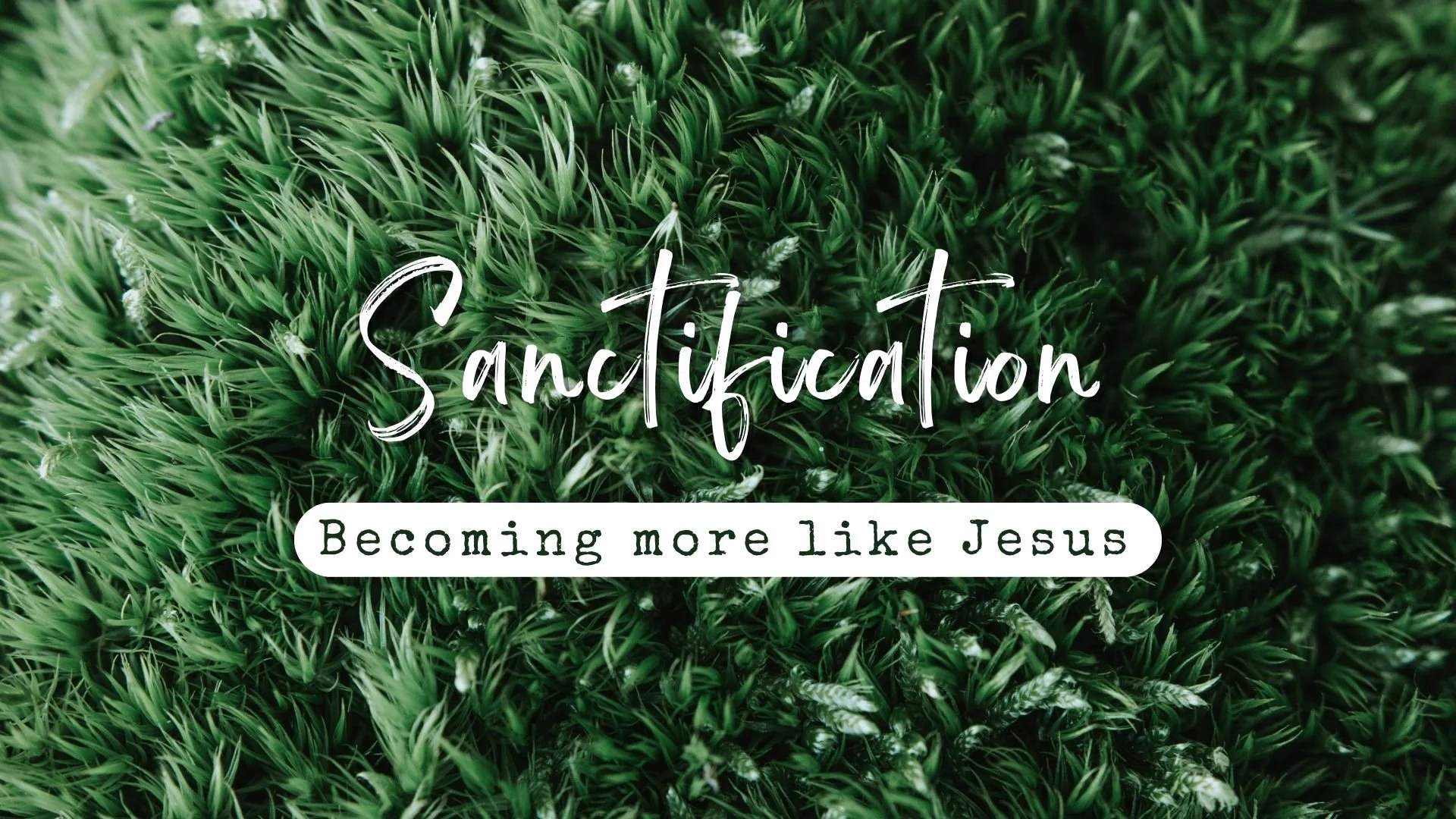 Citizens Church — Sanctification