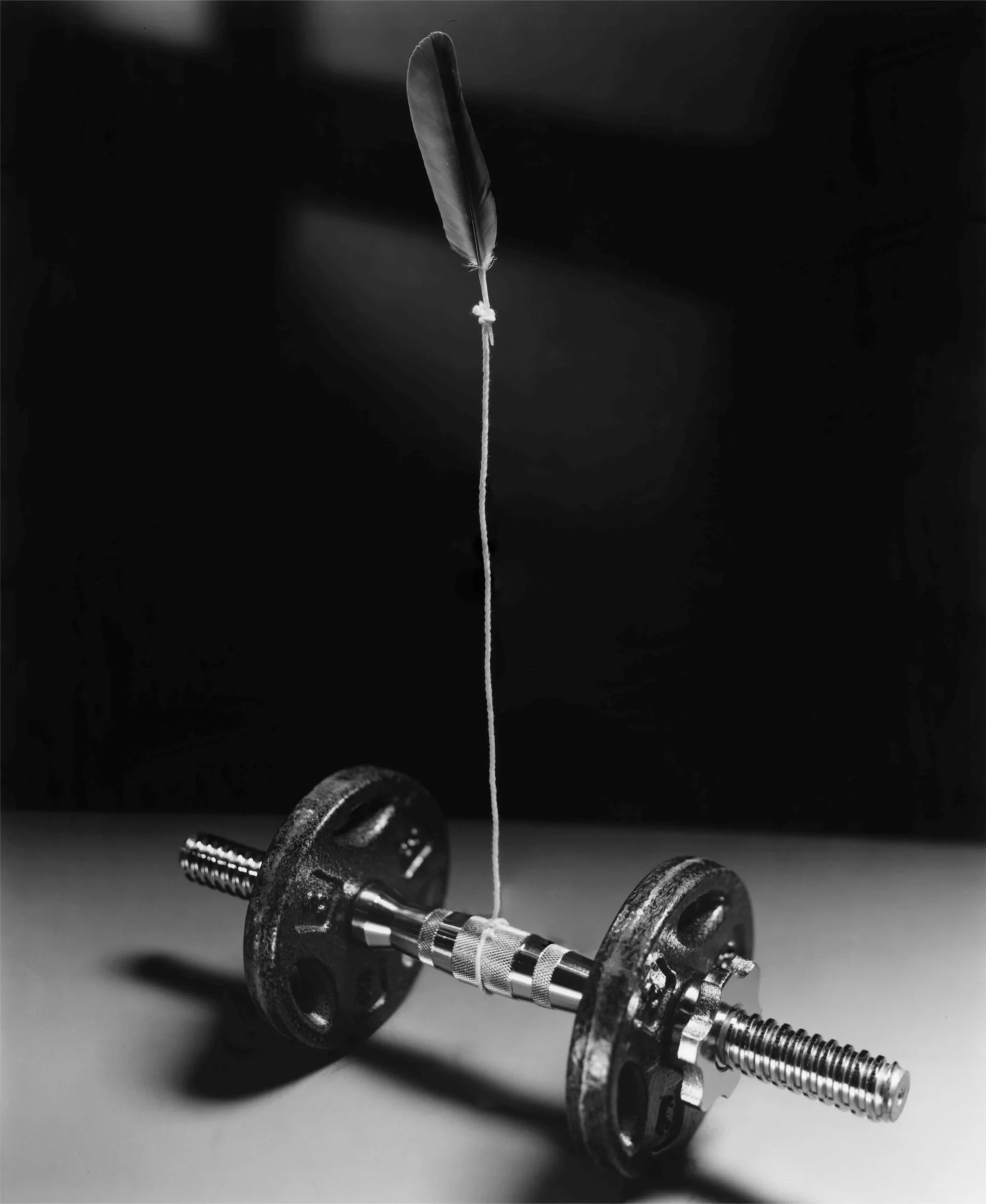 Still life photography — g. watson photographer