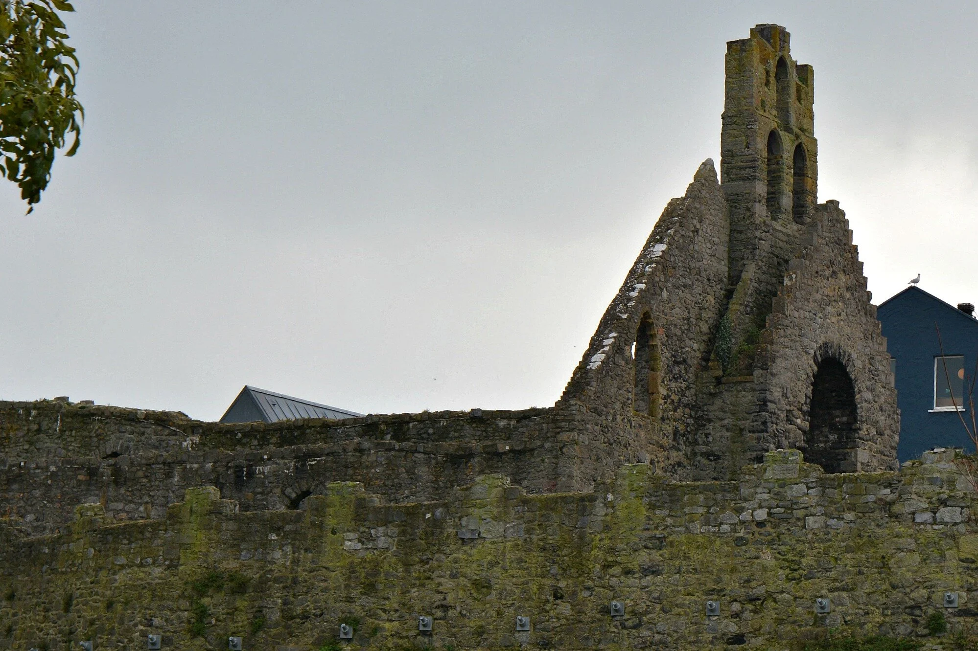 Best Day Trips From Dublin, Ireland: Howth — a boy. a girl + a passport