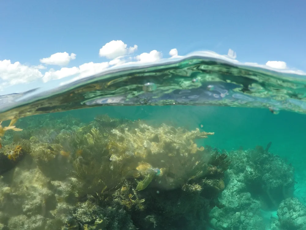 Your Comprehensive Packing Guide for an Unforgettable Trip to Eleuthera ...