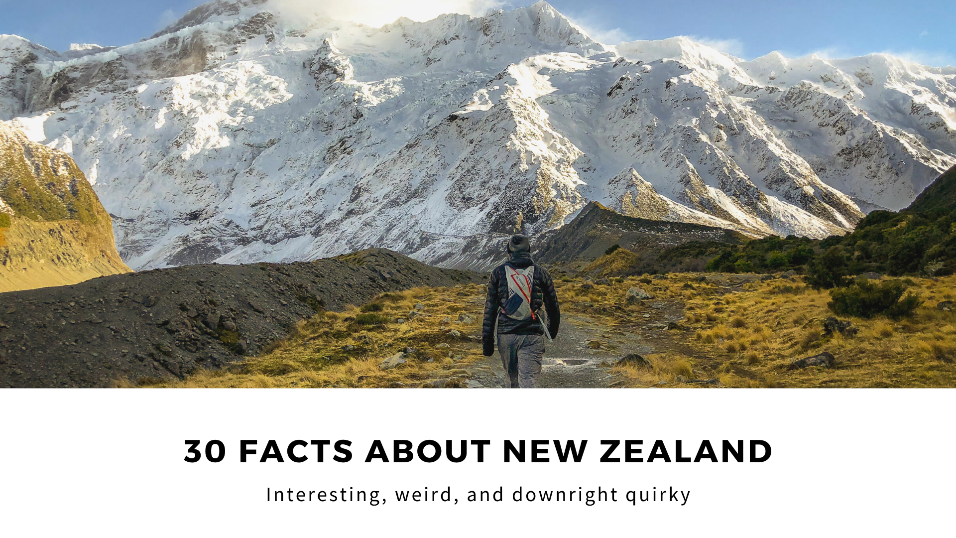 30 Interesting Facts About New Zealand: How many do you know? — Toone's ...