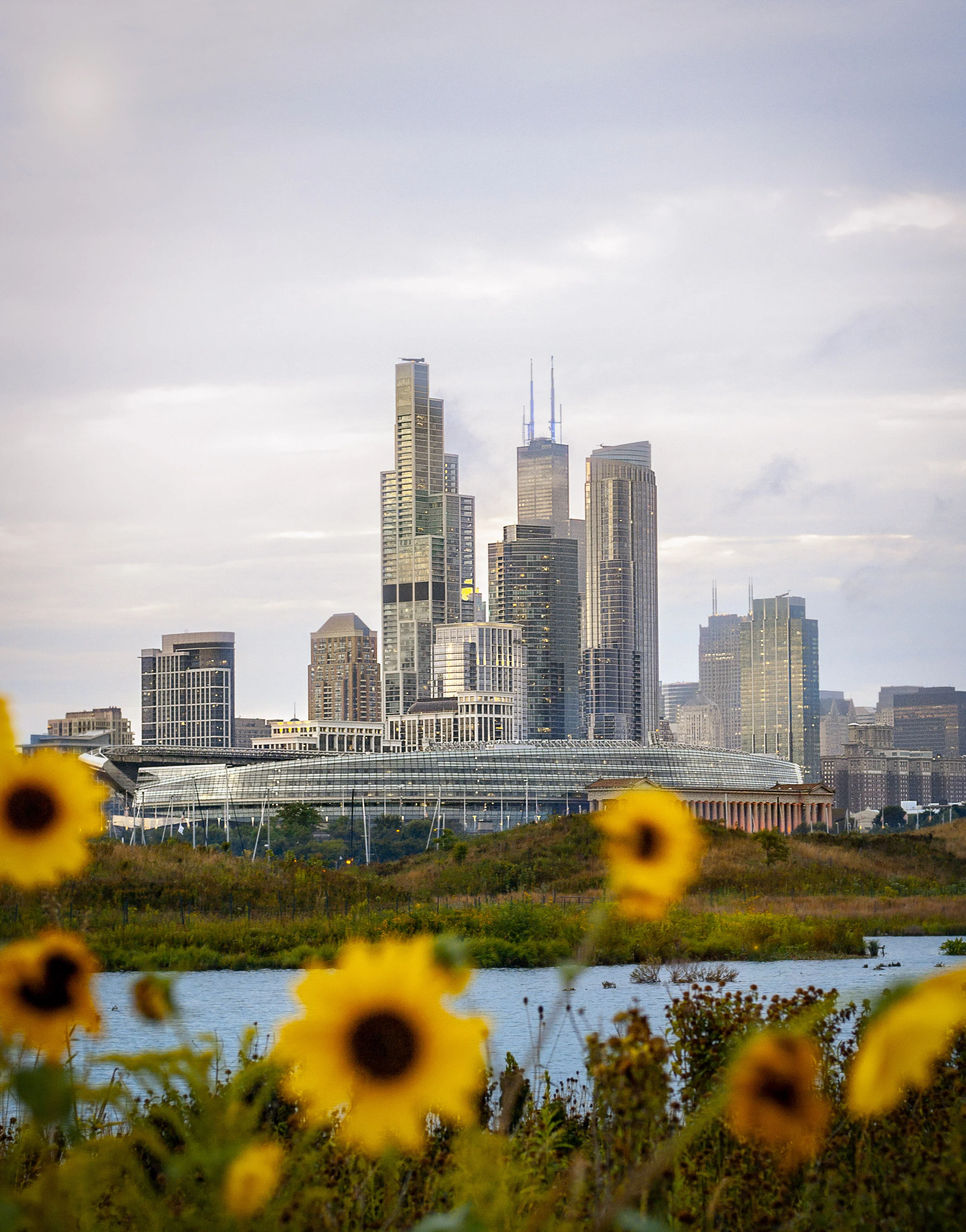 Best Photography Spots in Chicago — Toone's Travels