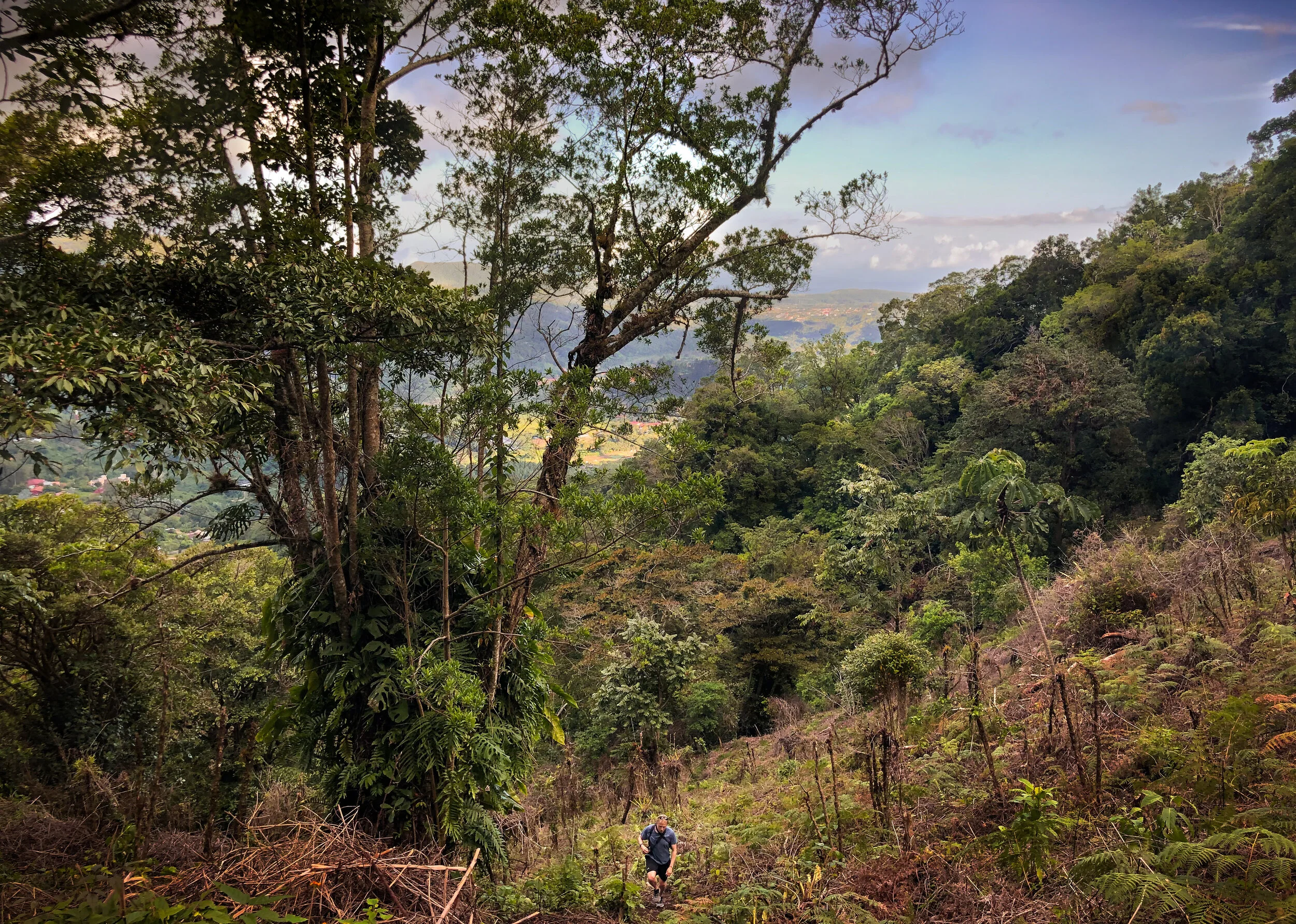 The Ultimate 3-Day Itinerary in Boquete, Panama — Toone's Travels