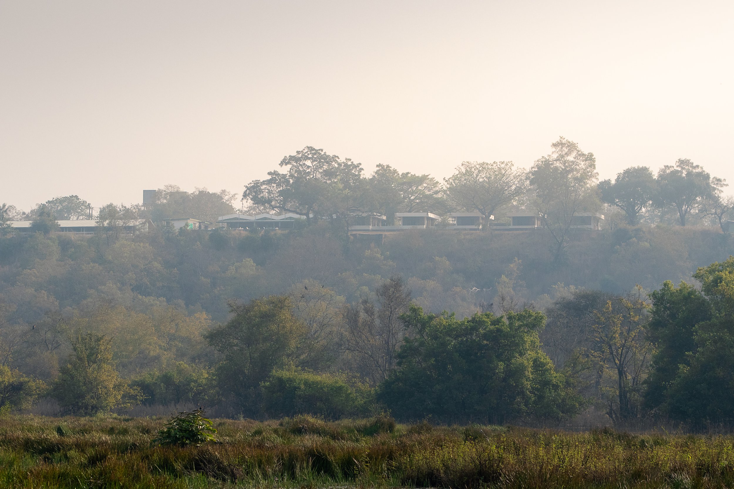 Exploring Mole National Park: Ghana’s Premier Wildlife Destination ...
