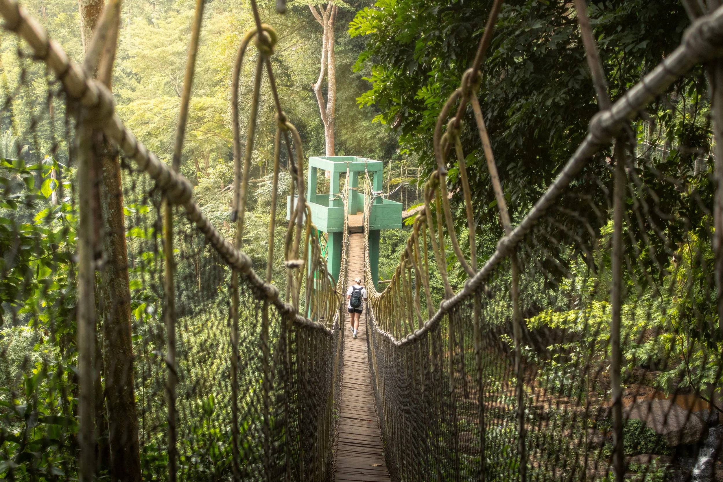 Discover Ghana's Hidden Gem: Amedzofe — Toone's Travels