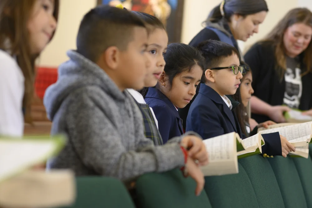 Safe Environment — St. Cecilia Catholic School