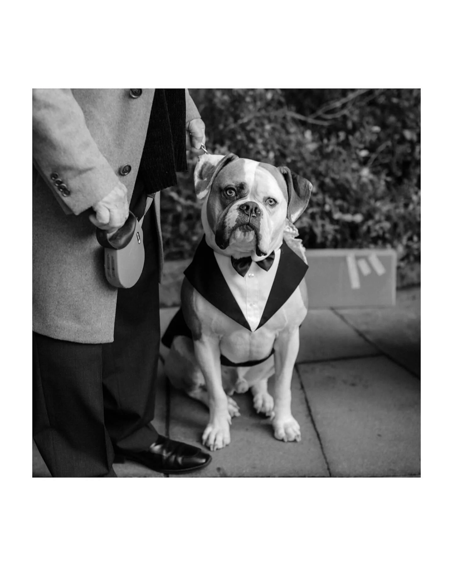 Brittani + Nemo | Dreamy Golden Hour Engagement Session in Portland ...