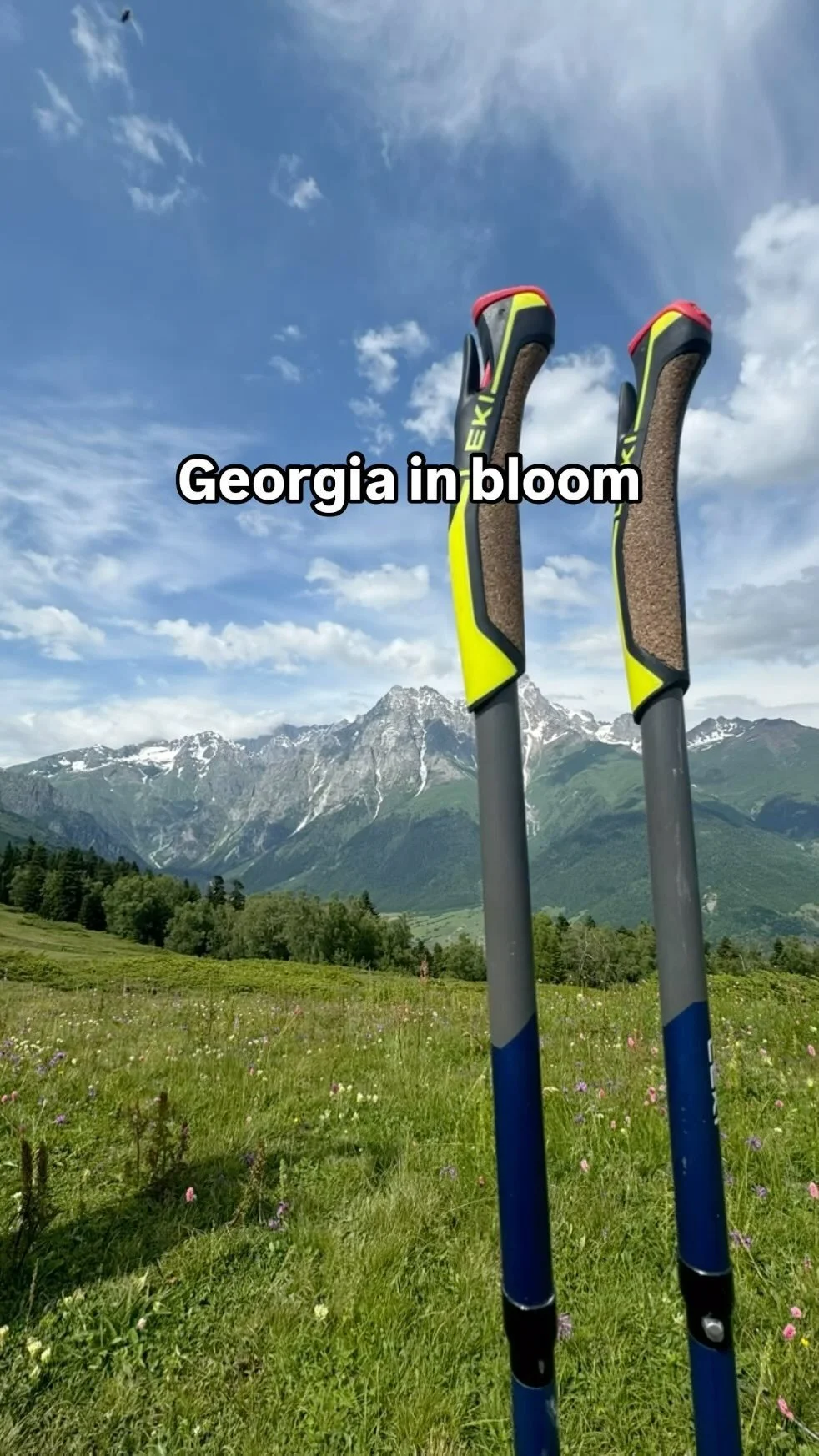 Pure Trails Adventure | Worldwide Trail Running Holidays & Experiences