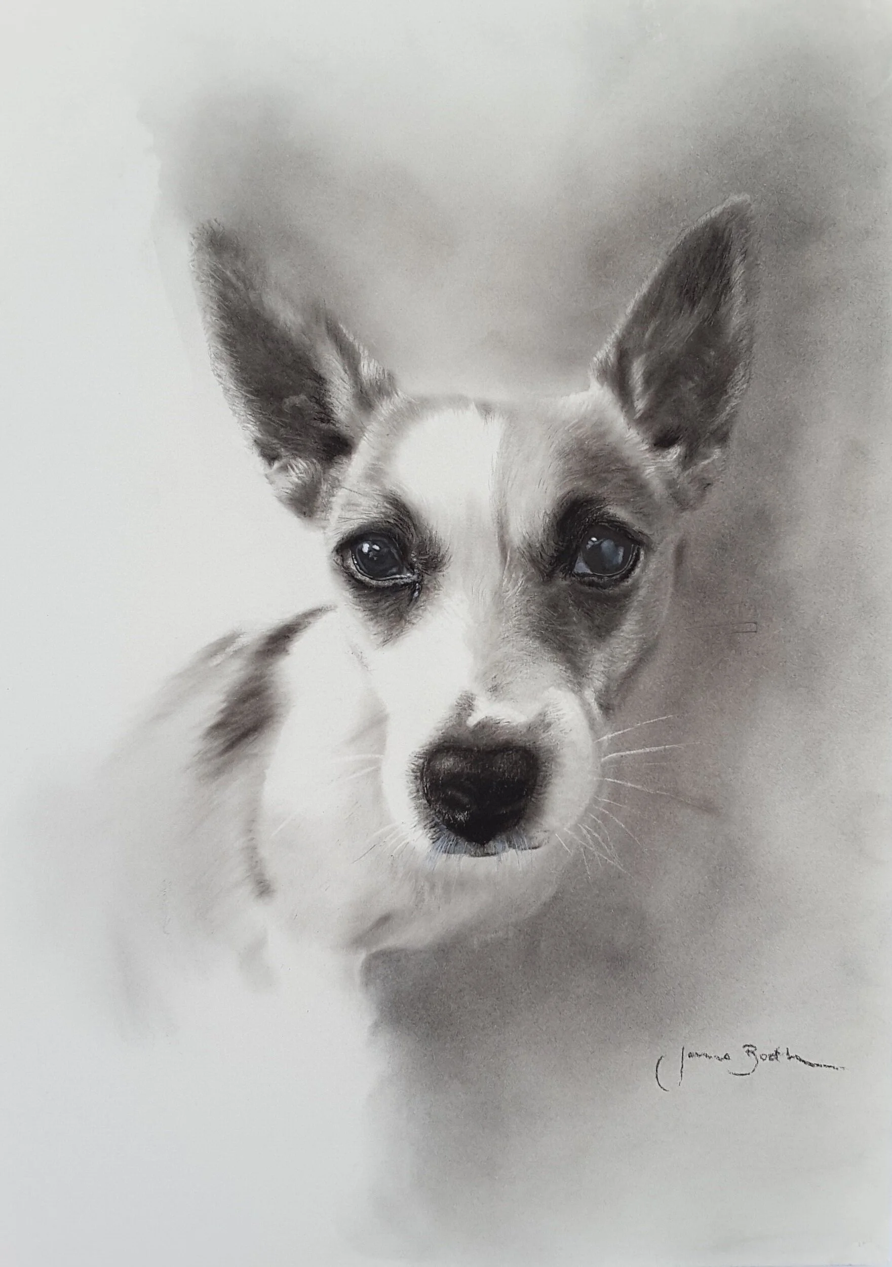 Studies — Jane Booth Fine Art.