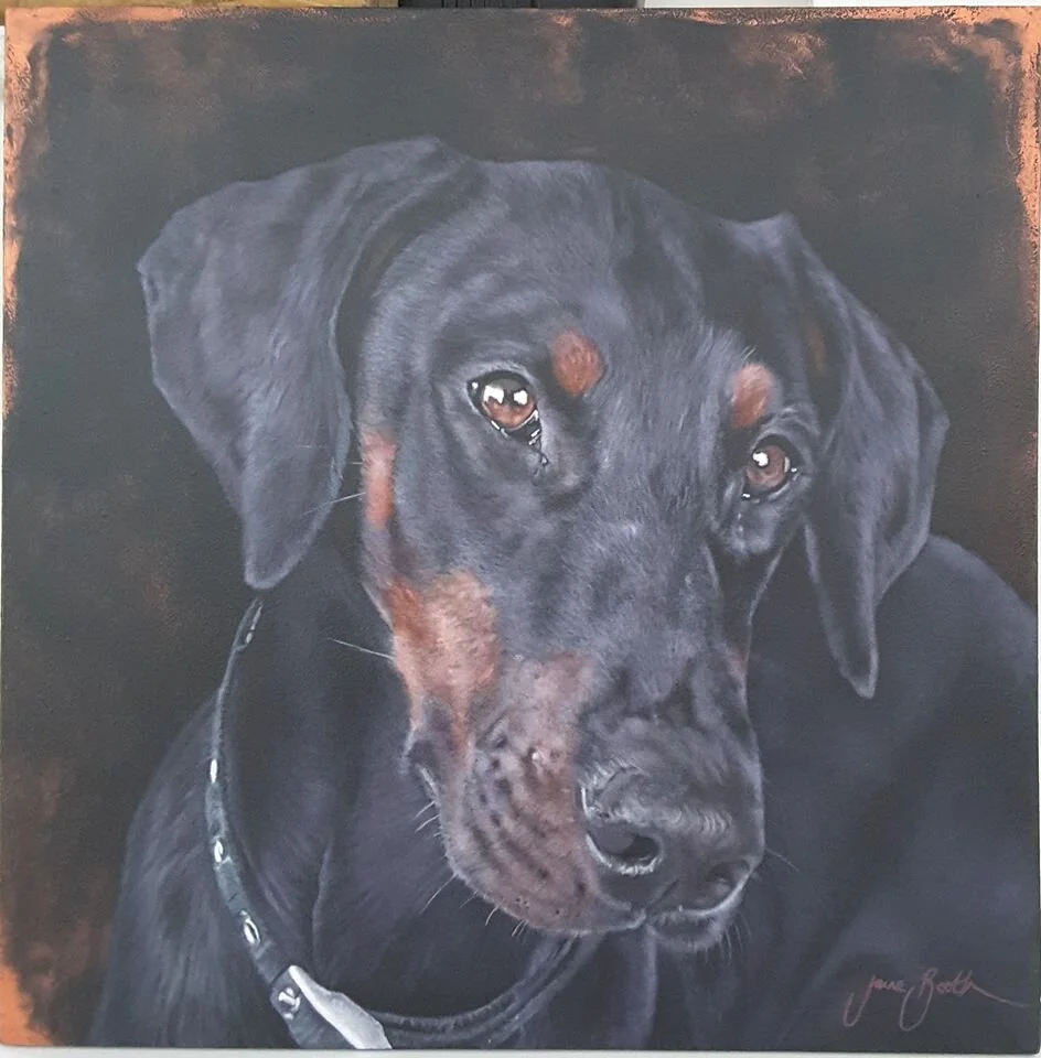 Dogs — Jane Booth Fine Art.