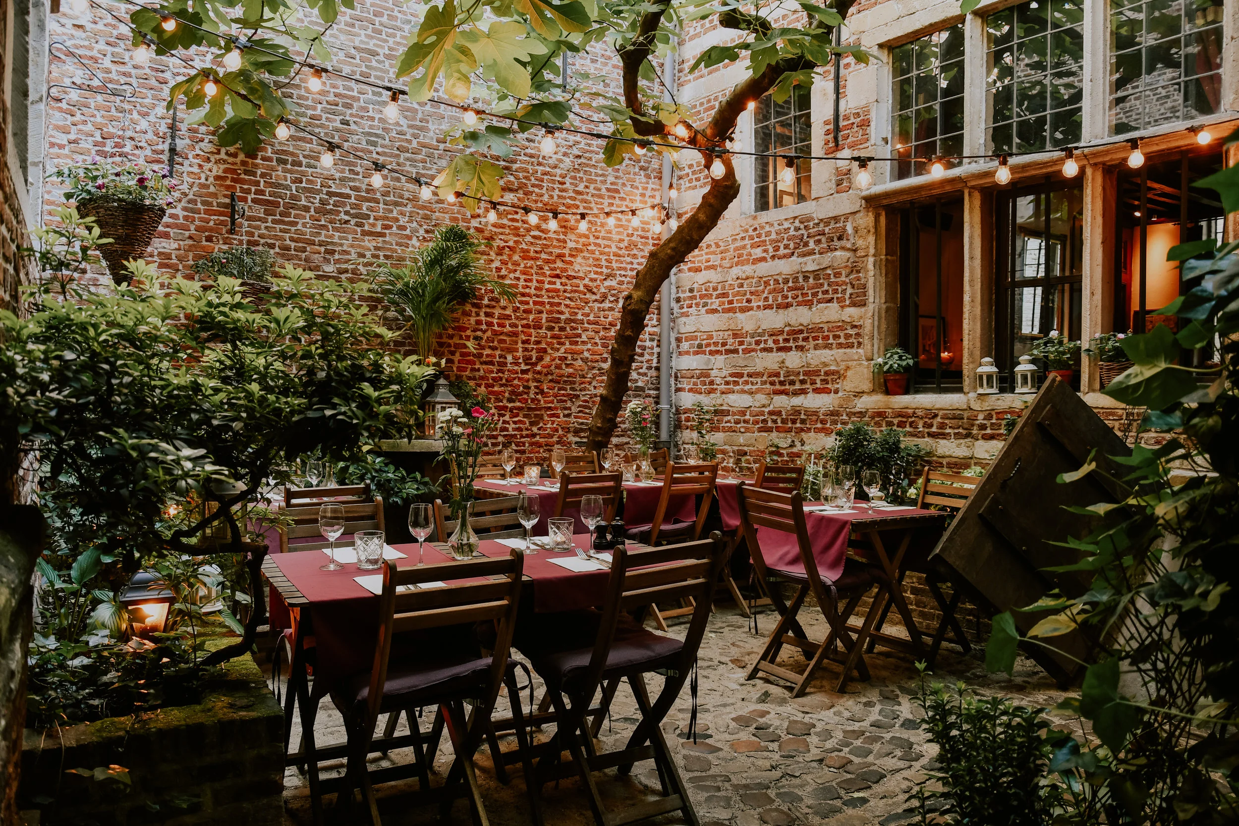 Welcome — 't Hofke