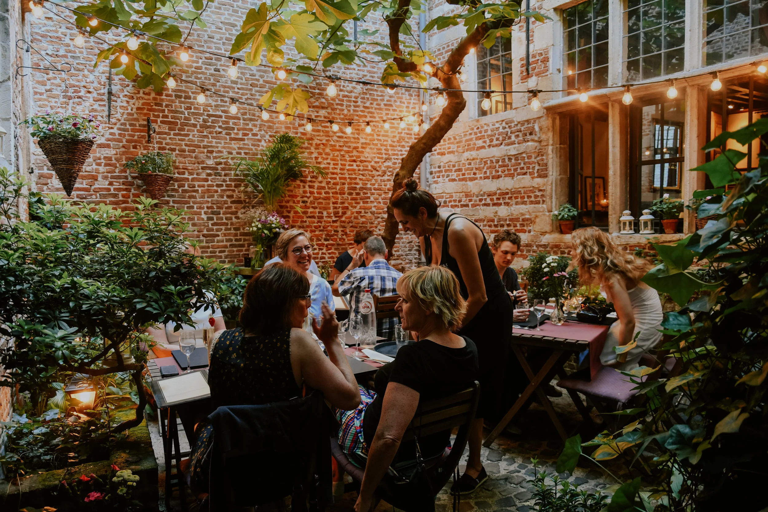 Welcome — 't Hofke