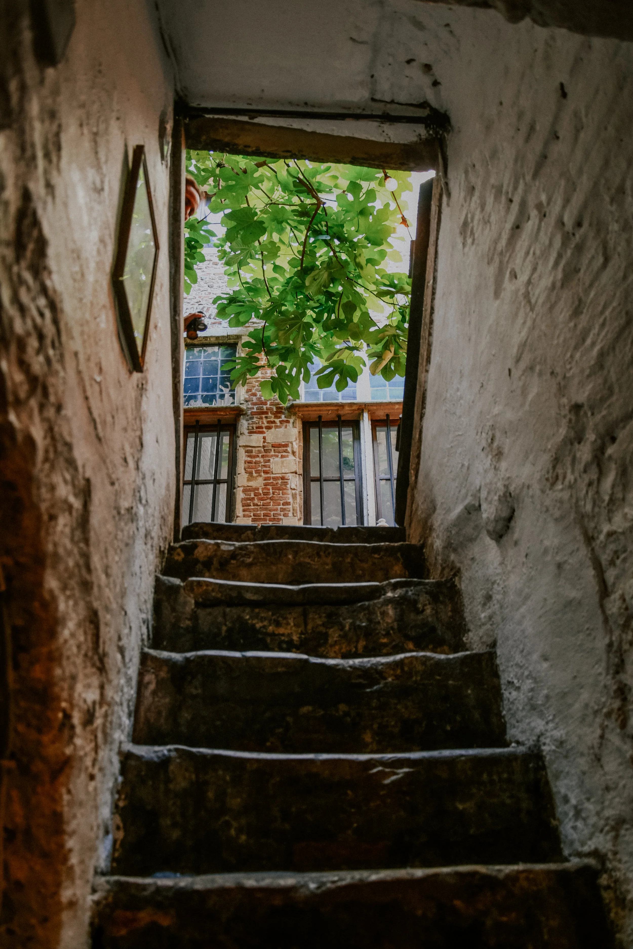 Welcome — 't Hofke