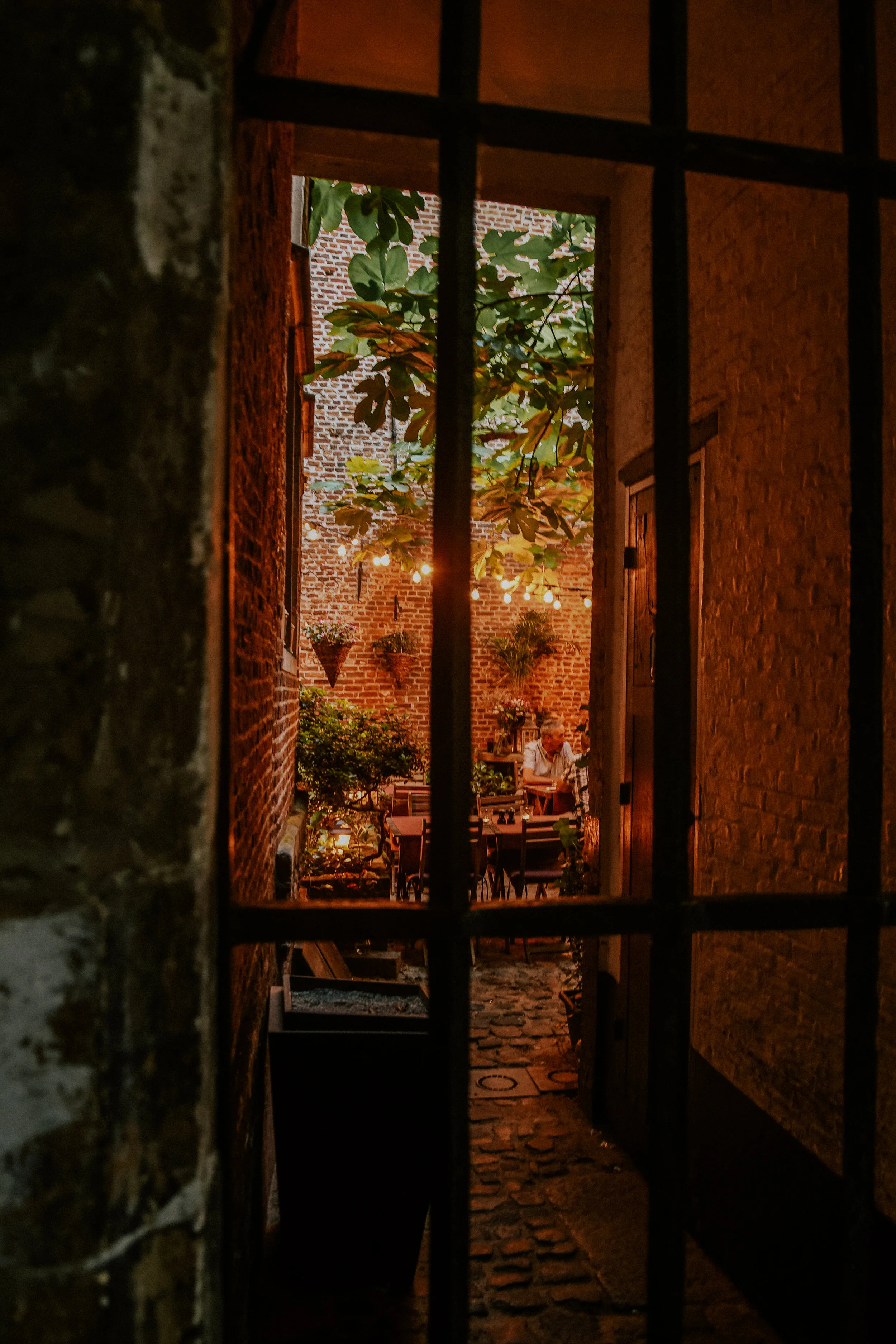 Welcome — 't Hofke