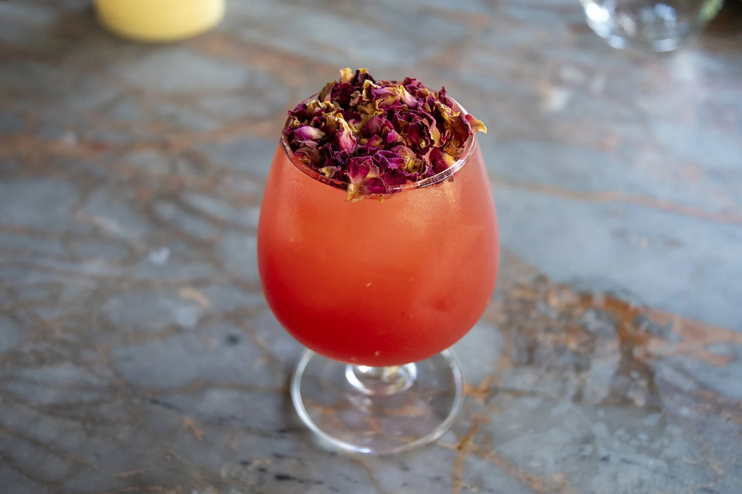 Gallery — P A S H A