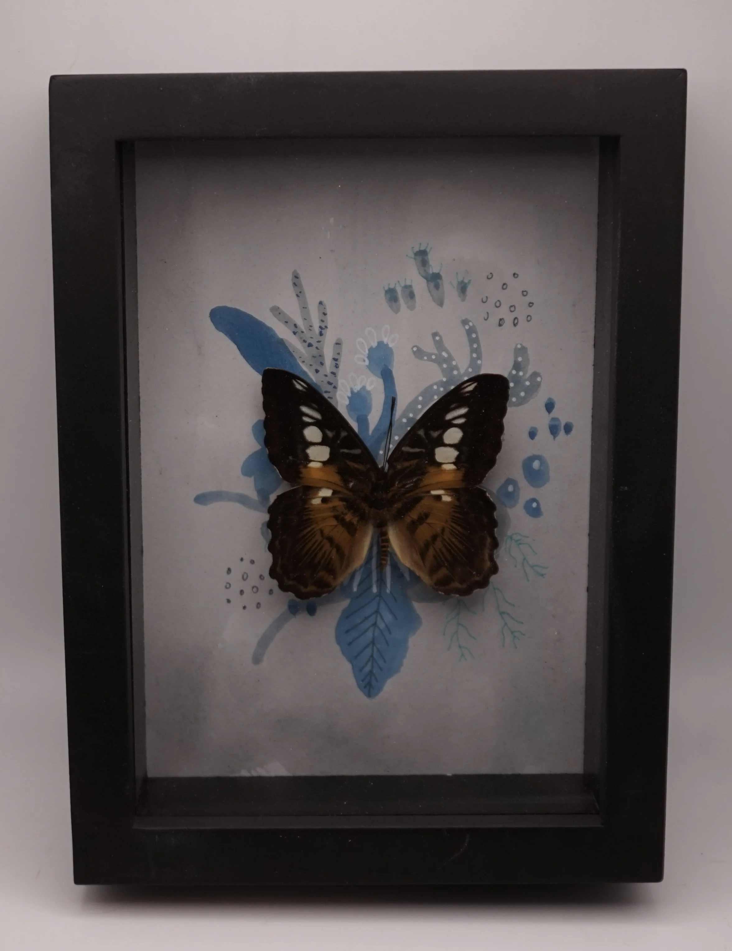 Specimens — Mytho Menagerie