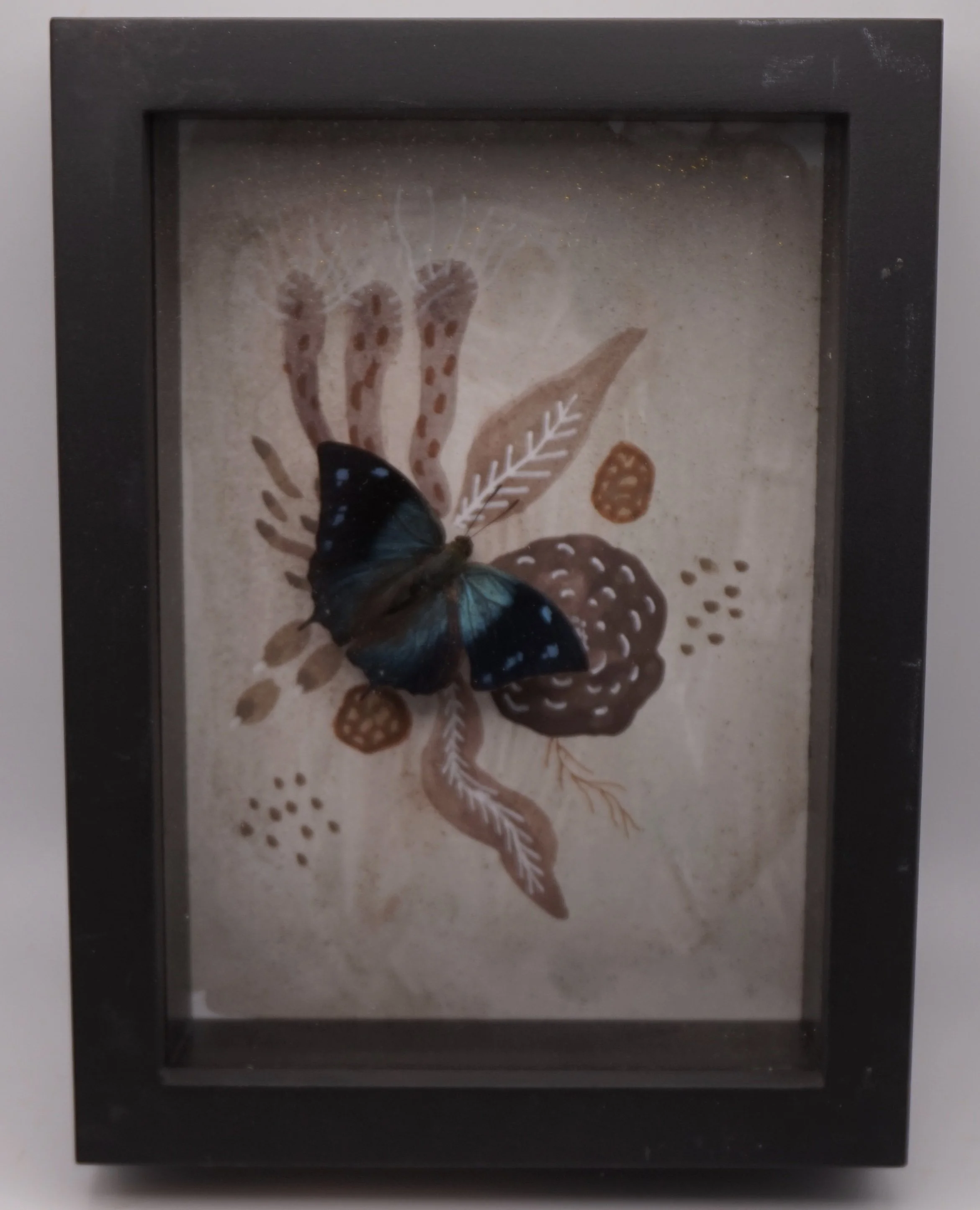 Specimens — Mytho Menagerie