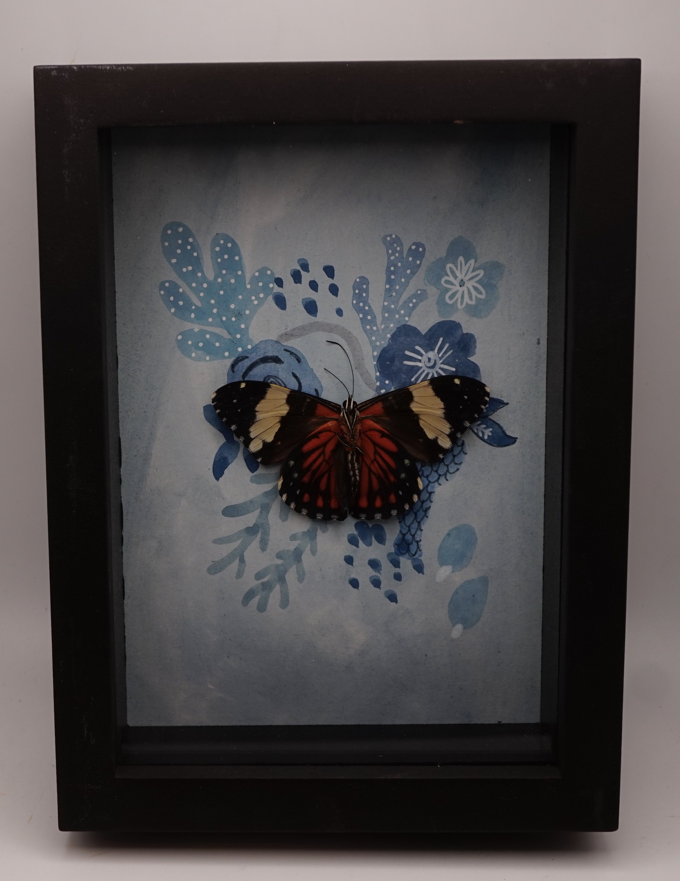 Specimens — Mytho Menagerie