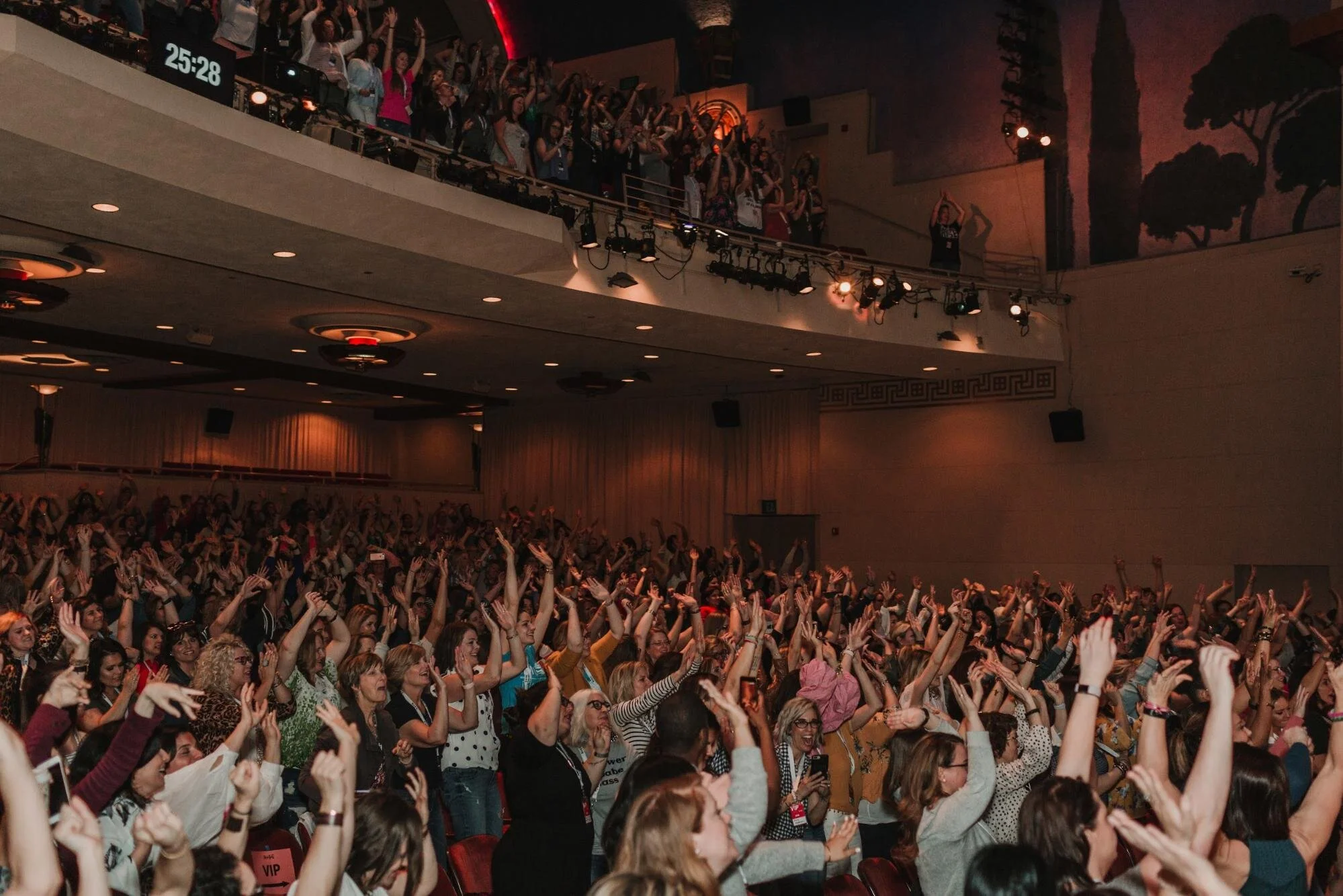 Portfolio — Alison Coen