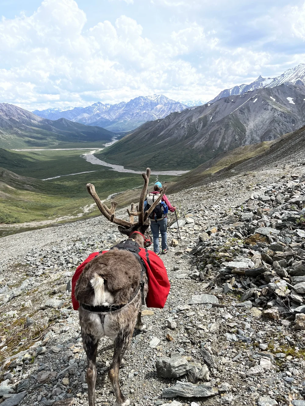 3-Day Reindeer Backpacking Trip — Chena Outdoor Collective