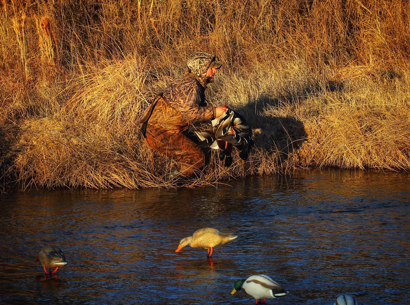 DUCK AND STRUT OUTDOORS LLC