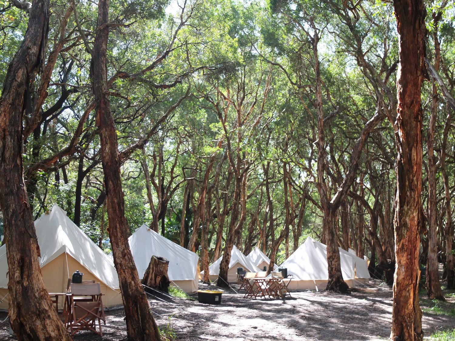 Treachery Camp - Seal Rocks, NSW — Simple Pleasures Camping Co