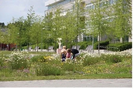 IFLA Presidents Award 2024 — International Federation of Landscape ...