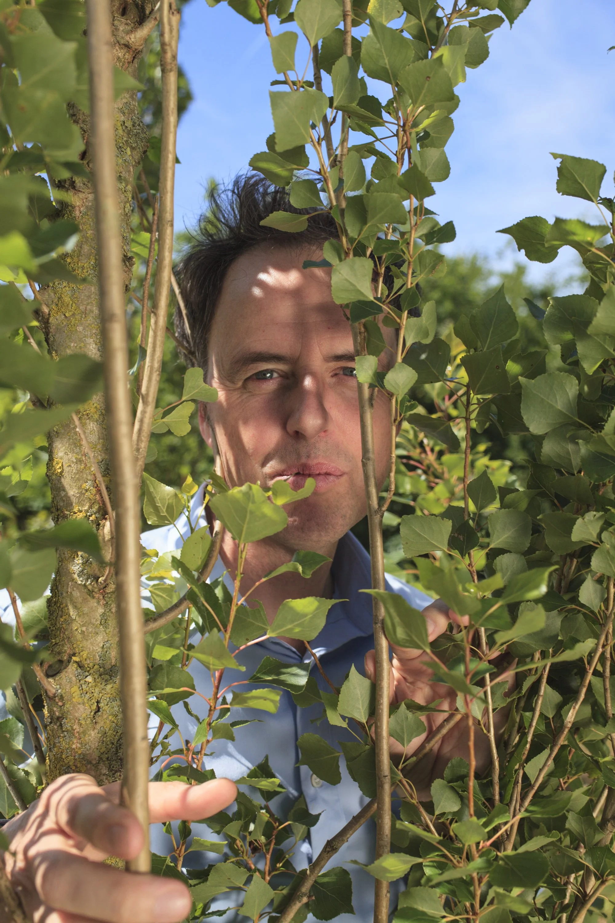 SGJA 2022 Winner — International Federation of Landscape Architects