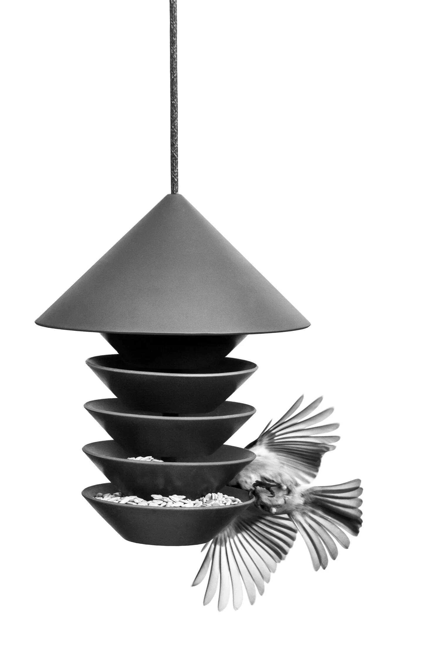 Bird Silo — Pidät