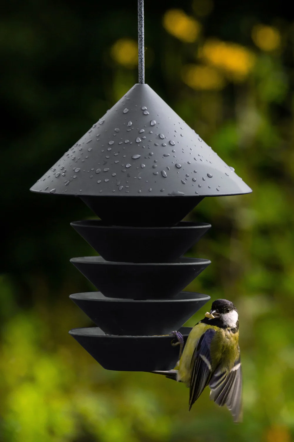 Bird Silo — Pidät