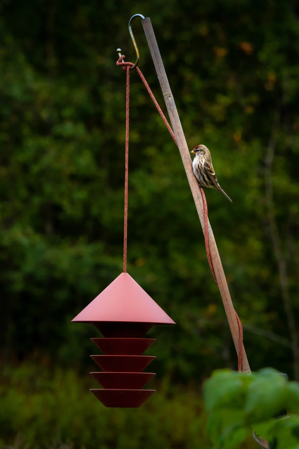 Bird Silo — Pidät