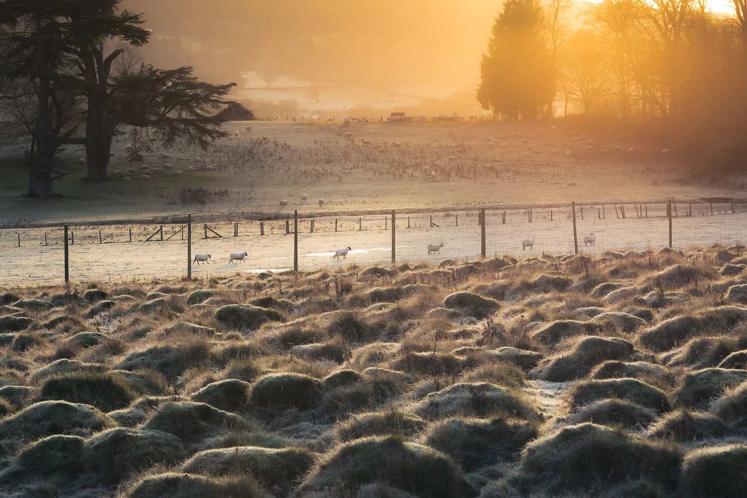5 Beginner Composition Rules for Better Landscape Photography — Mindful ...