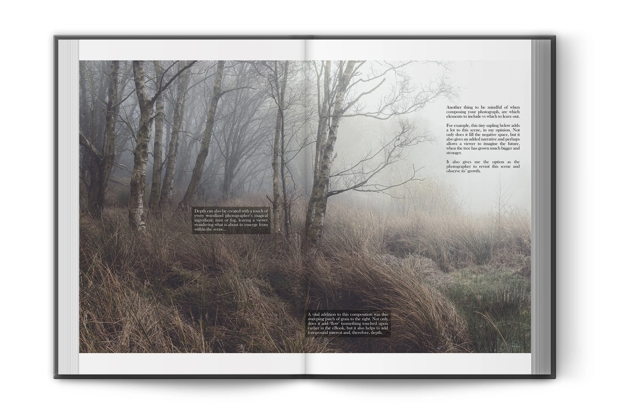 Learn Landscape Photography | Composition eBook by Brad Carr — Mindful ...