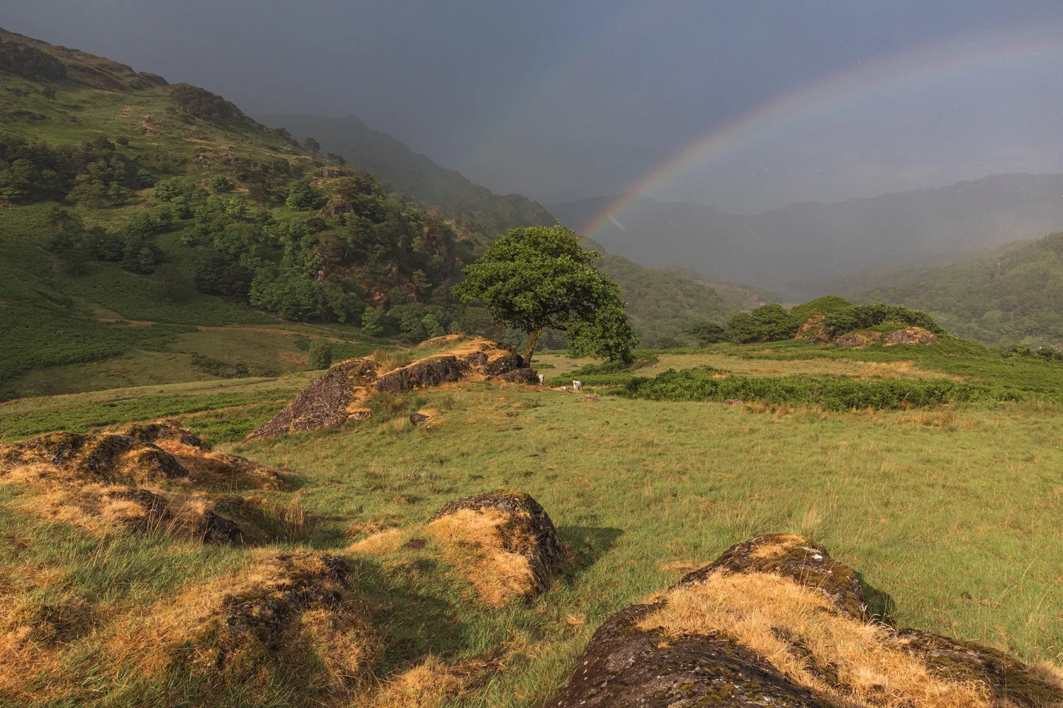5 Beginner Composition Rules for Better Landscape Photography — Mindful ...