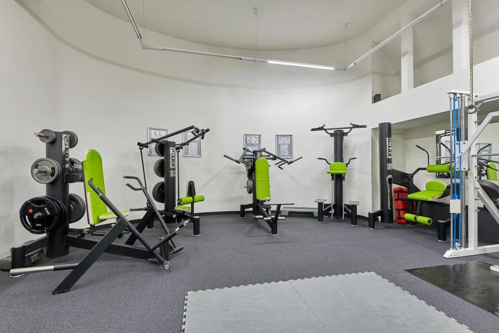 Mega Fitness