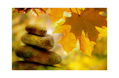 Connection and Compassion amidst Social Isolation — Cactus Flower Healing