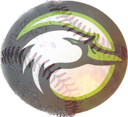Tryouts — Ducks Baseball